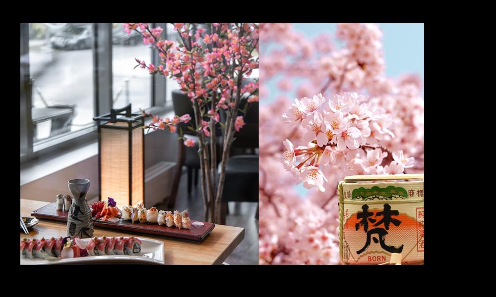 Enjoy Spring with "Born" Sake | FCCJ